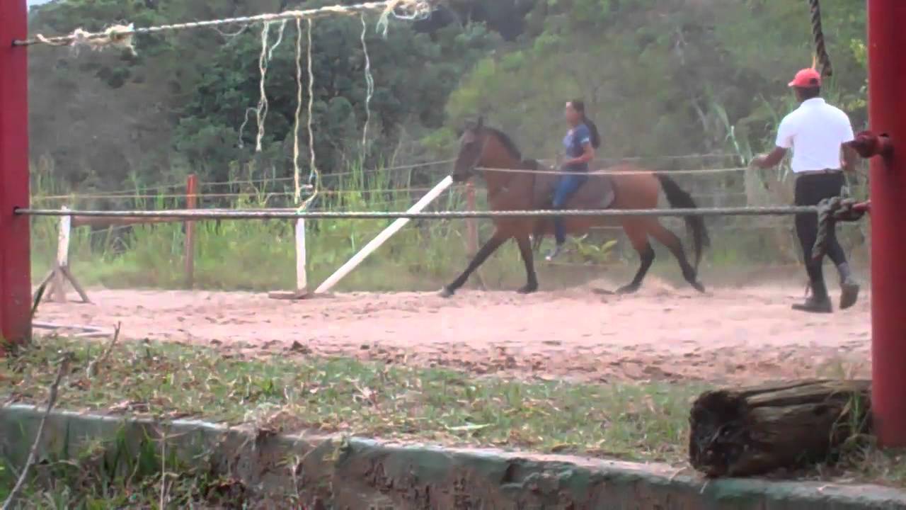 I learned how to gallop! - YouTube