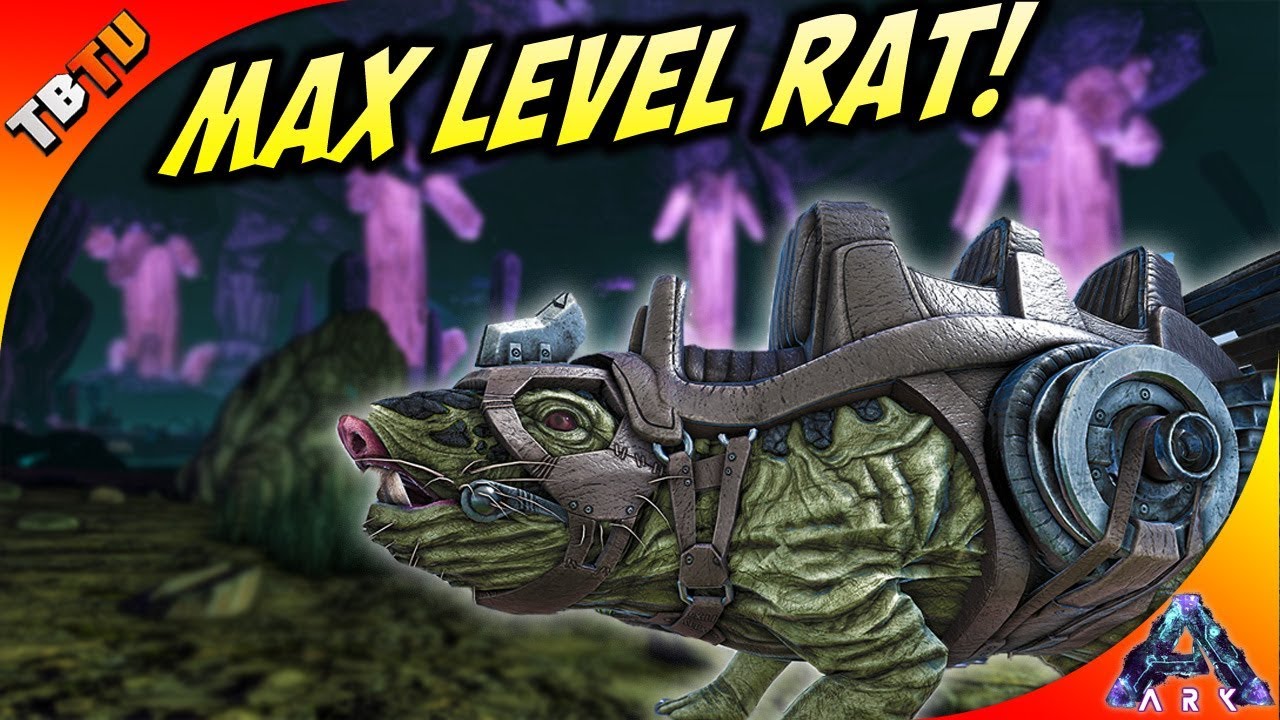 ROLL RATS ARE OP! MAX LEVEL ROLL RAT TAMING AND BREEDING! Ark ...