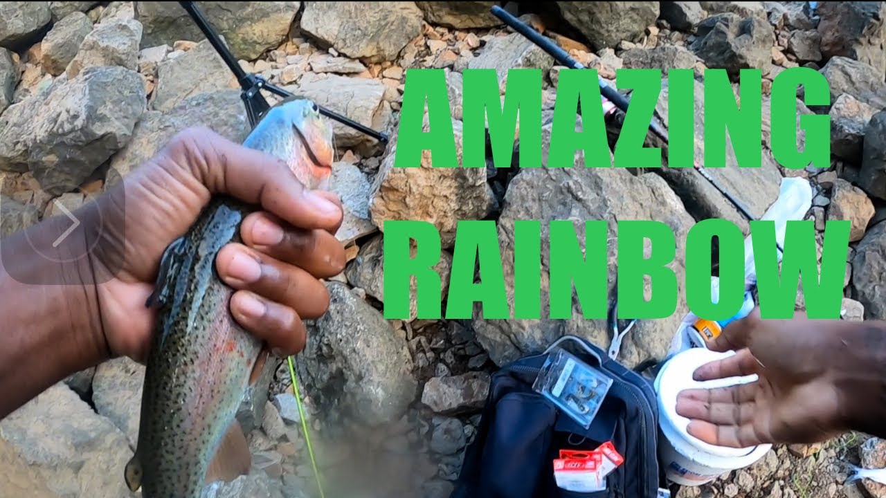 I HAD TO DO CPR TO SAVE THIS FISH??????? - YouTube