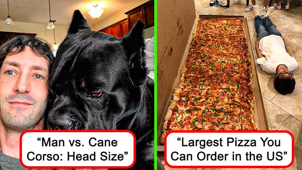 Fascinating Comparison Photos That Might Change How You See Things (New ...