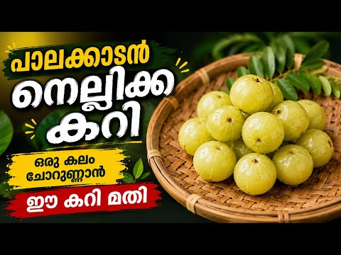 പാലക്കാടൻ കറി നെല്ലിക്കയും തൈരും ഒരു കലം ചോറുണ്ണാൻ| Nellikka Arachu Kalakki |Amla Recipe |Gooseberry