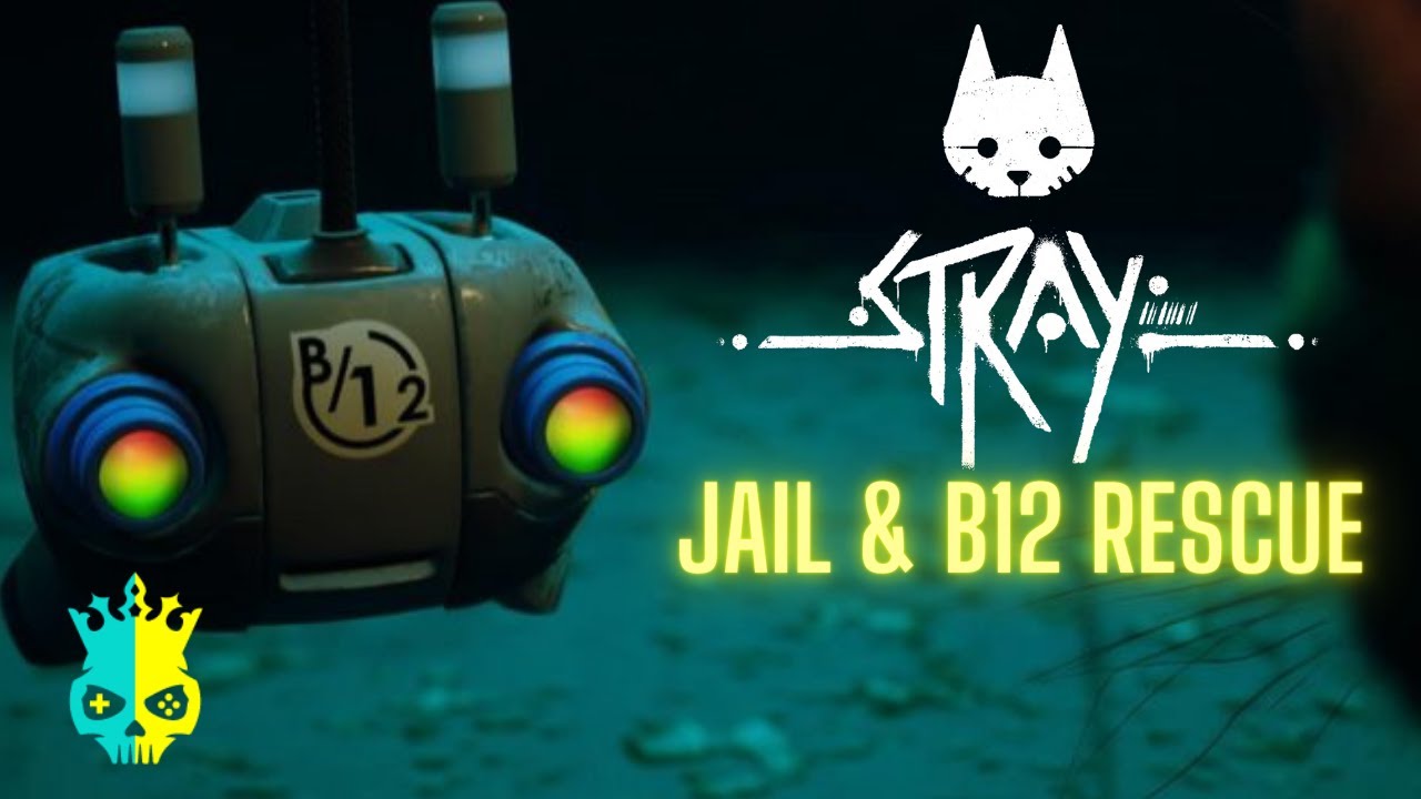 Jail - Rescue B12- Stray - YouTube