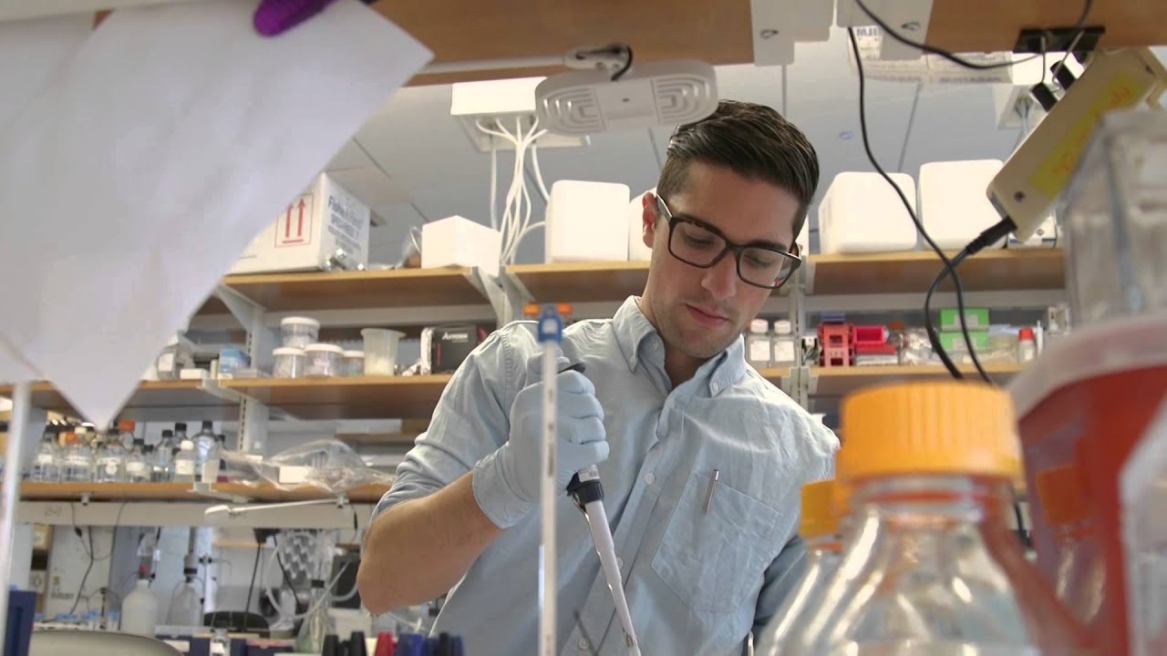 #WhyUMassMed: Research Powerhouse Philip Feinberg - YouTube