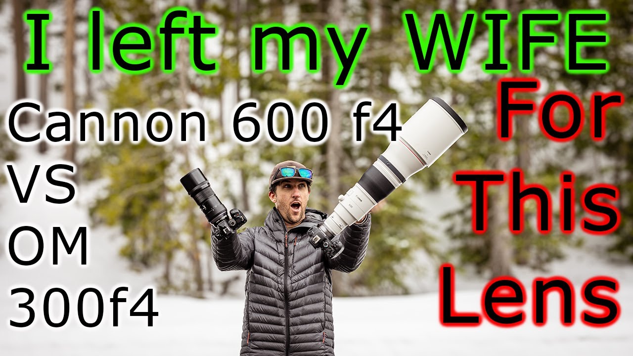 Canon RF 600mm f4 vs OM Systems 300mm f4 Ultimate wildlife shoot out ...