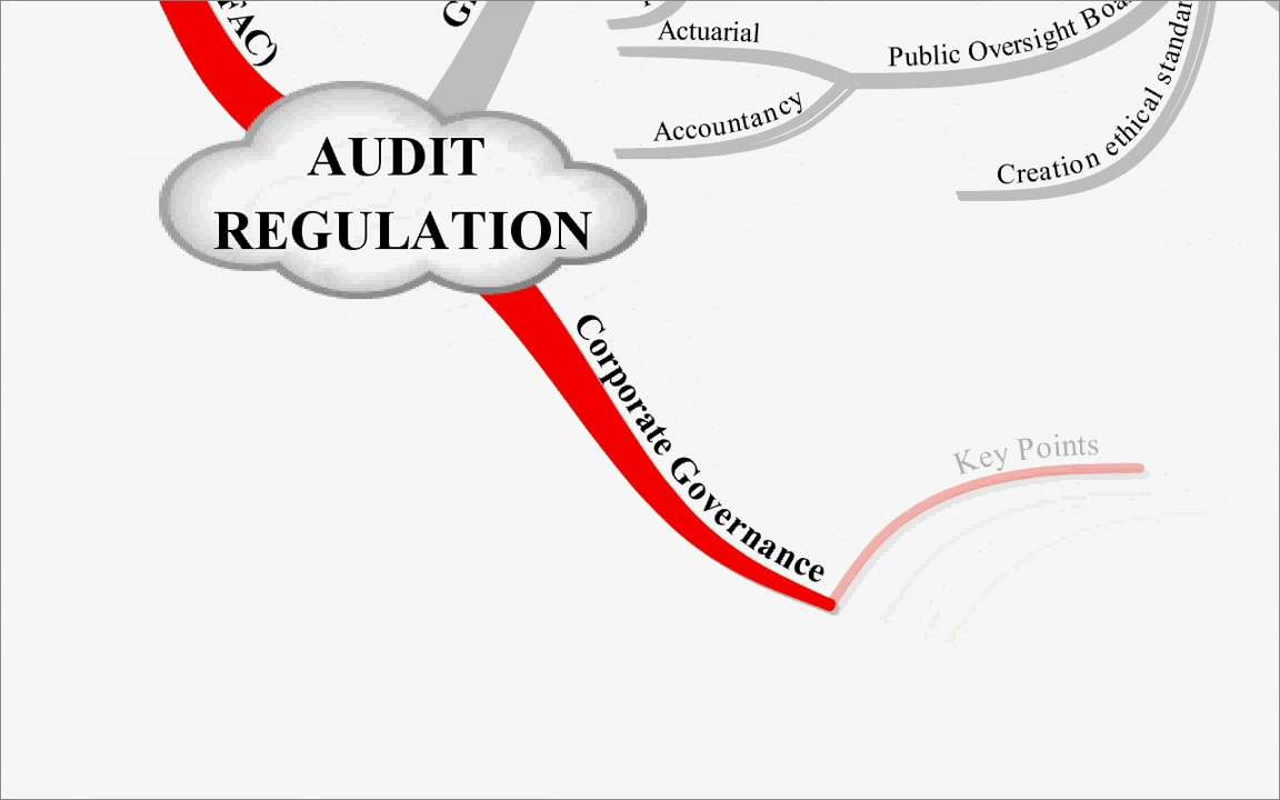 ACCA P7 - Lecture 1 Audit Regulation.avi - YouTube