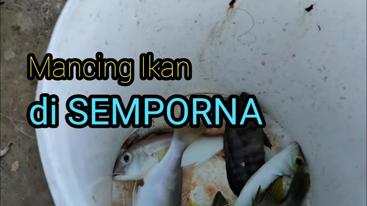 Mancing ikan kutambak di laut semporna #1 - YouTube