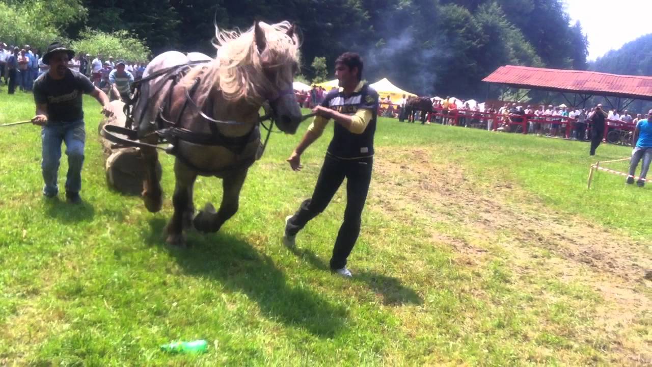 calul lui doru blaj rasnov(soimu) - YouTube