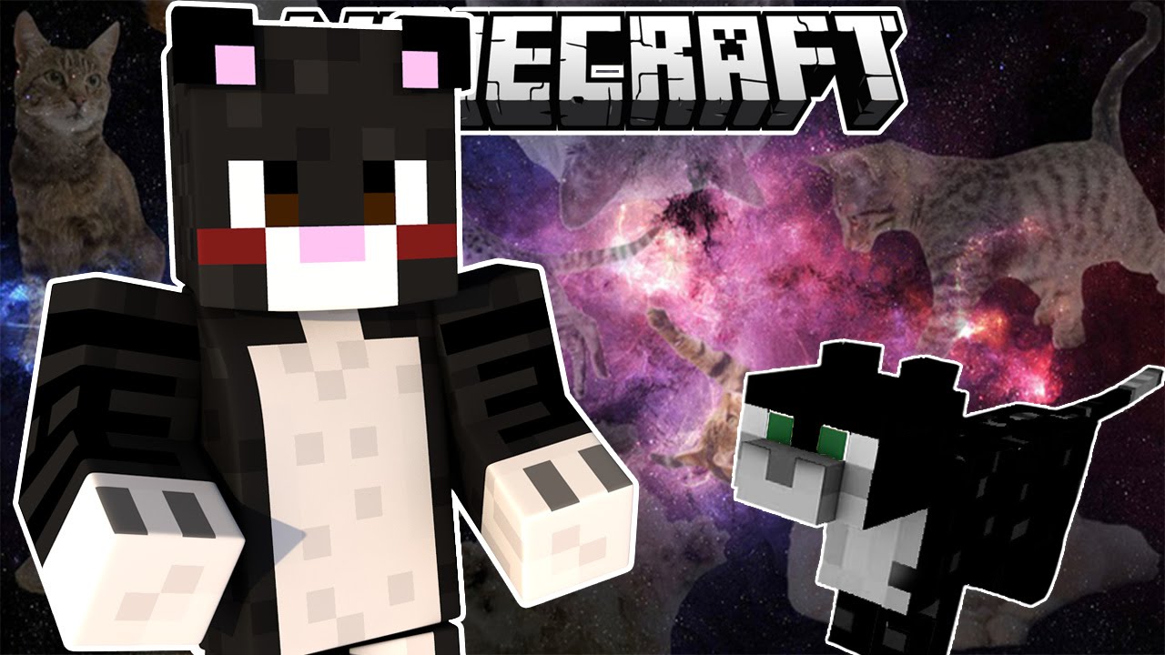 Minecraft - Cat - Build Battle - YouTube