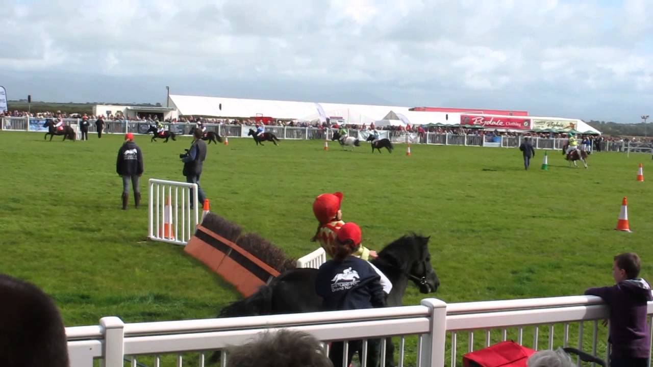 Sioe Môn 2014 Anglesey Show - The Shetland Pony Grand National (1 ...