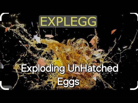 Insane EXPLODING Rotten Eggs + Newly Hatching Chickens, Quail - YouTube