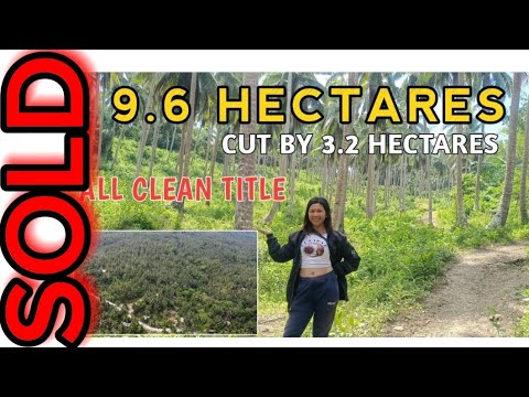 #Vlog29 | 9.6 HECTARES | Cut By 3.2 Hectares | CLEAN TITLE | Good for ...