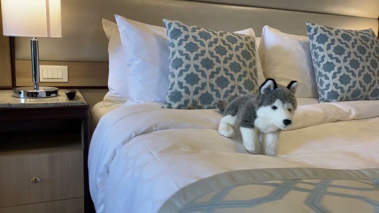 Discovery Princess Mini Suite L216 Room Tour with balcony - YouTube