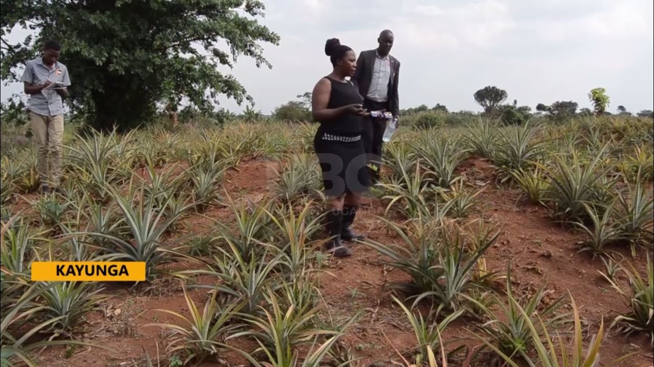 Improving teachers’ livelihood - Teachers advised to embrace side ...