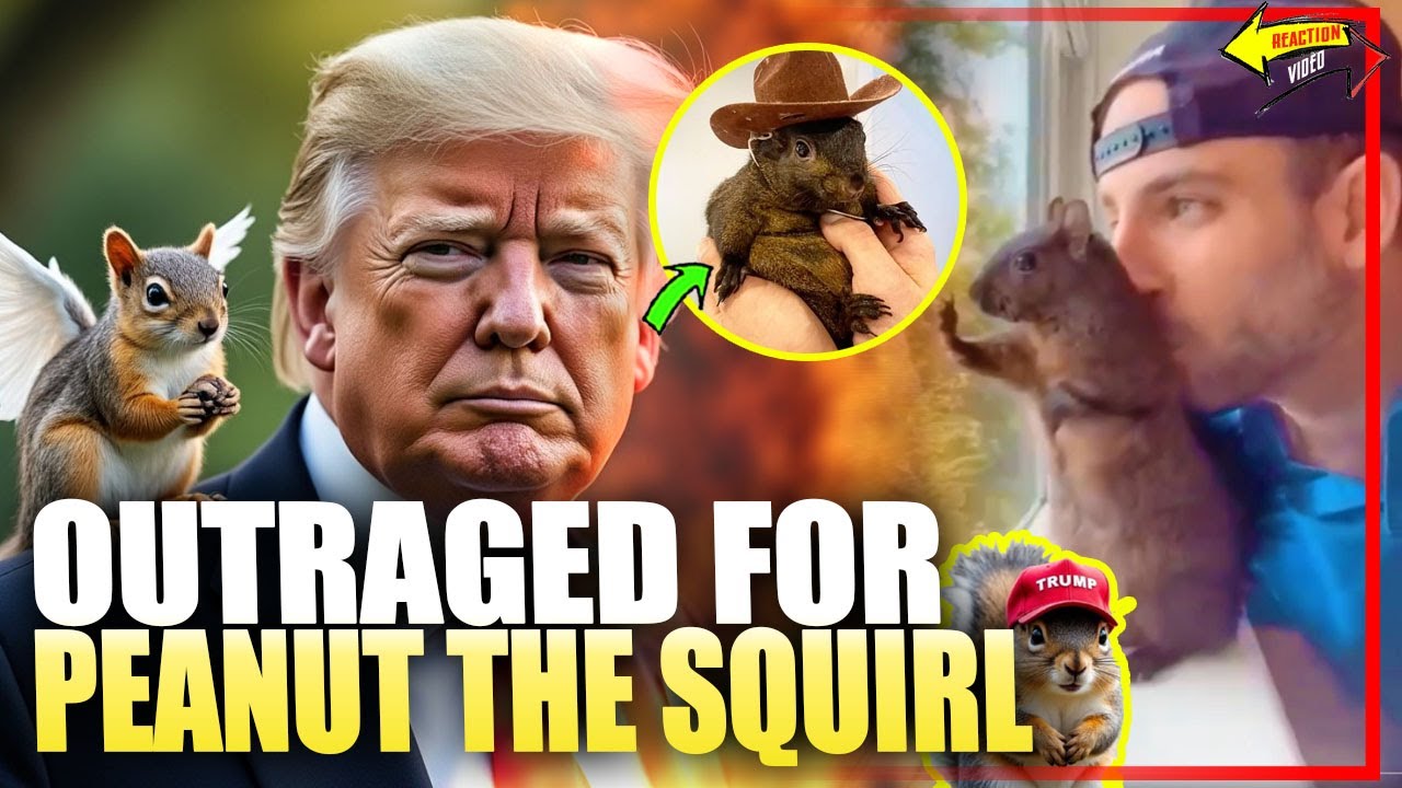 SO WRONG! - The Internet OUTRAGED After Feds Seize, MURDER Orphan Pet ...