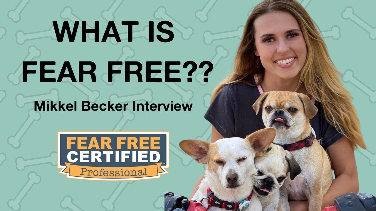 What Is Fear Free? - Mikkel Becker Interview - YouTube