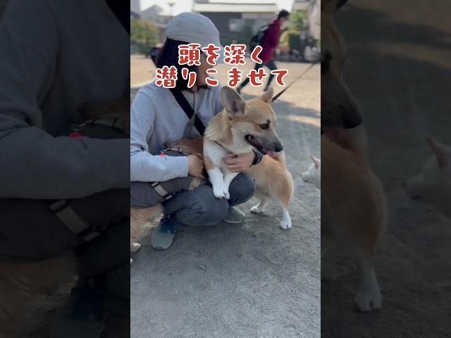 〜ひびキチじつ〜 HIBI KICHI JITSU