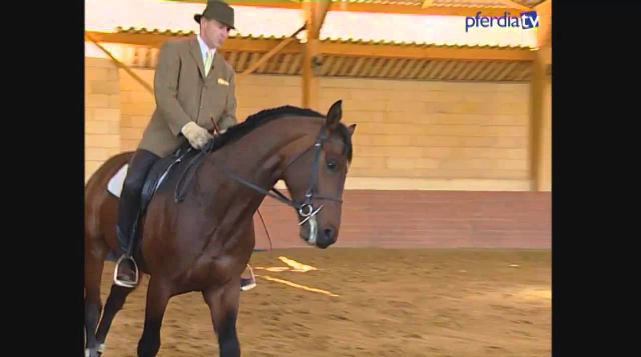 Basisarbeit unter dem Sattel | Légèreté | Philippe Karl - YouTube