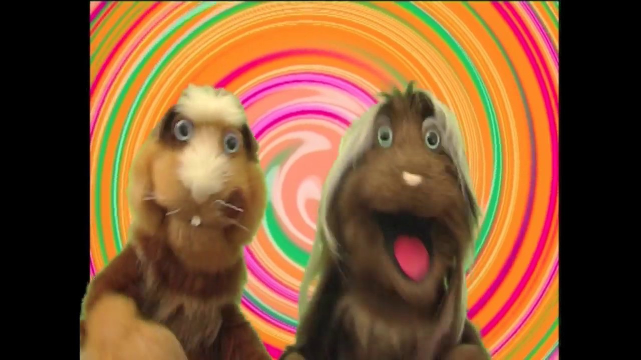 Tickle and Patch with the Plucky Chicken Pop Video - YouTube