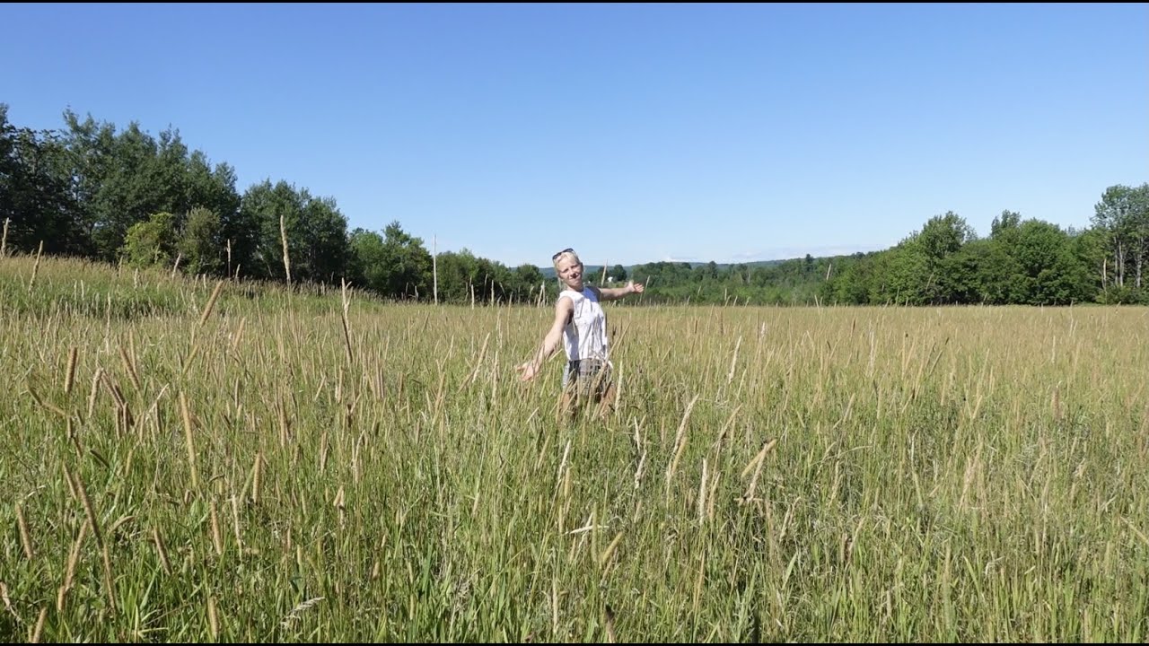 Mowing a 20 acre field!?……. - YouTube
