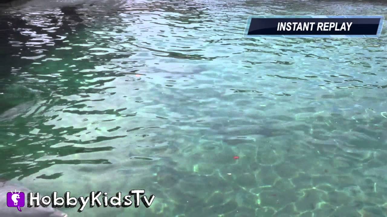 Hawaiian Princess Ariel, Olaf + Peppa Pig Visit DOLPHINS in Hawaii ...