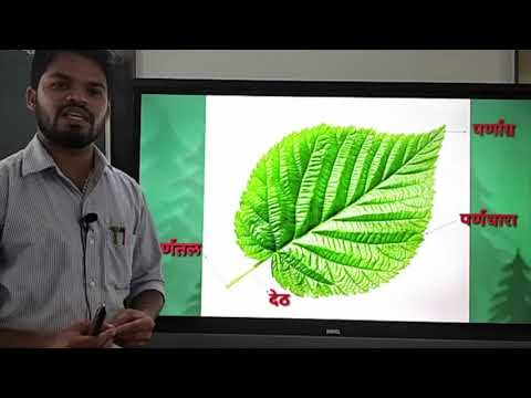 Std 7 Science Chp2 Vanaspati Rachana Evum Karya by Mr Prabhu J Barat MM ...