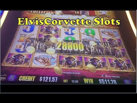 Buffalo Gold | Mega Big Win | Thanks To Tito's Slots Videos - YouTube