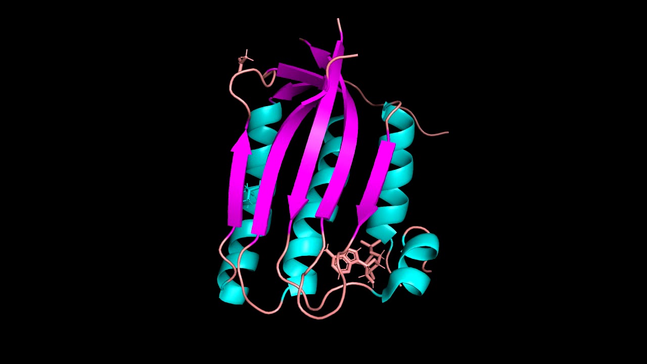 ETR1 catalytic domain structure - YouTube