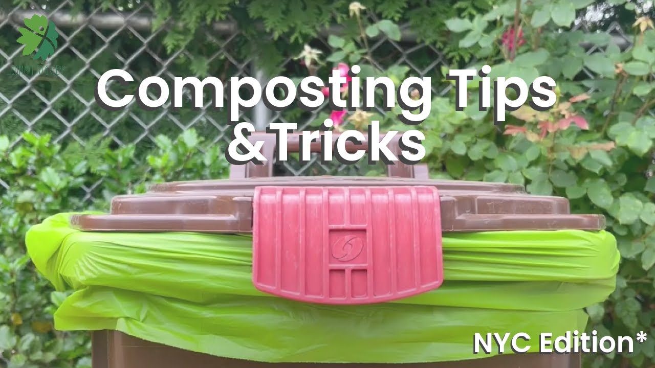 Composting Tips and Tricks NYC Edition - YouTube