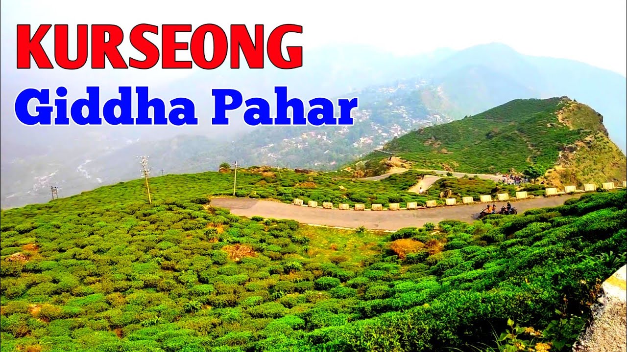 Kurseong Giddha pahar || view point || Kurseong || darjeeling || vlog ...