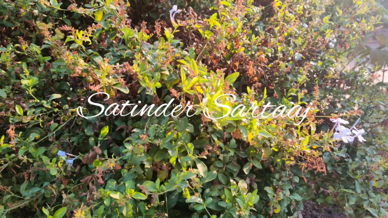 Udaarian by #satindersartaaj | Choreography by #nainabatra - YouTube