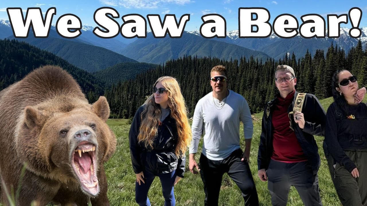 Olympic National Park Hurricane Ridge (A lot of Wildlife)! - YouTube