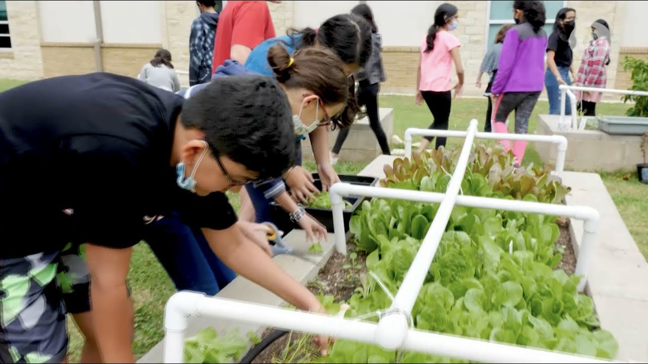 Pearson Ranch School Garden - YouTube