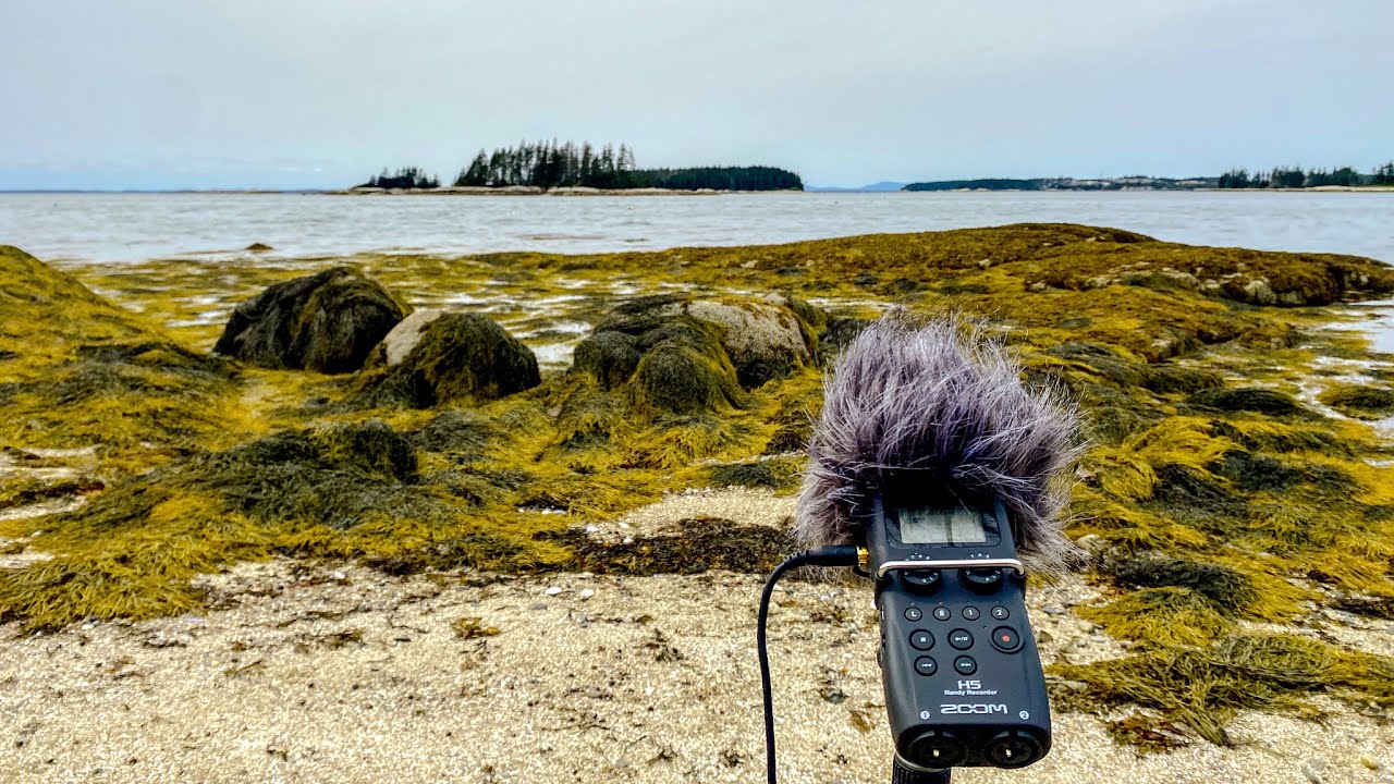 The Island Soundscape Project, capturing Maine’s sonic environments ...