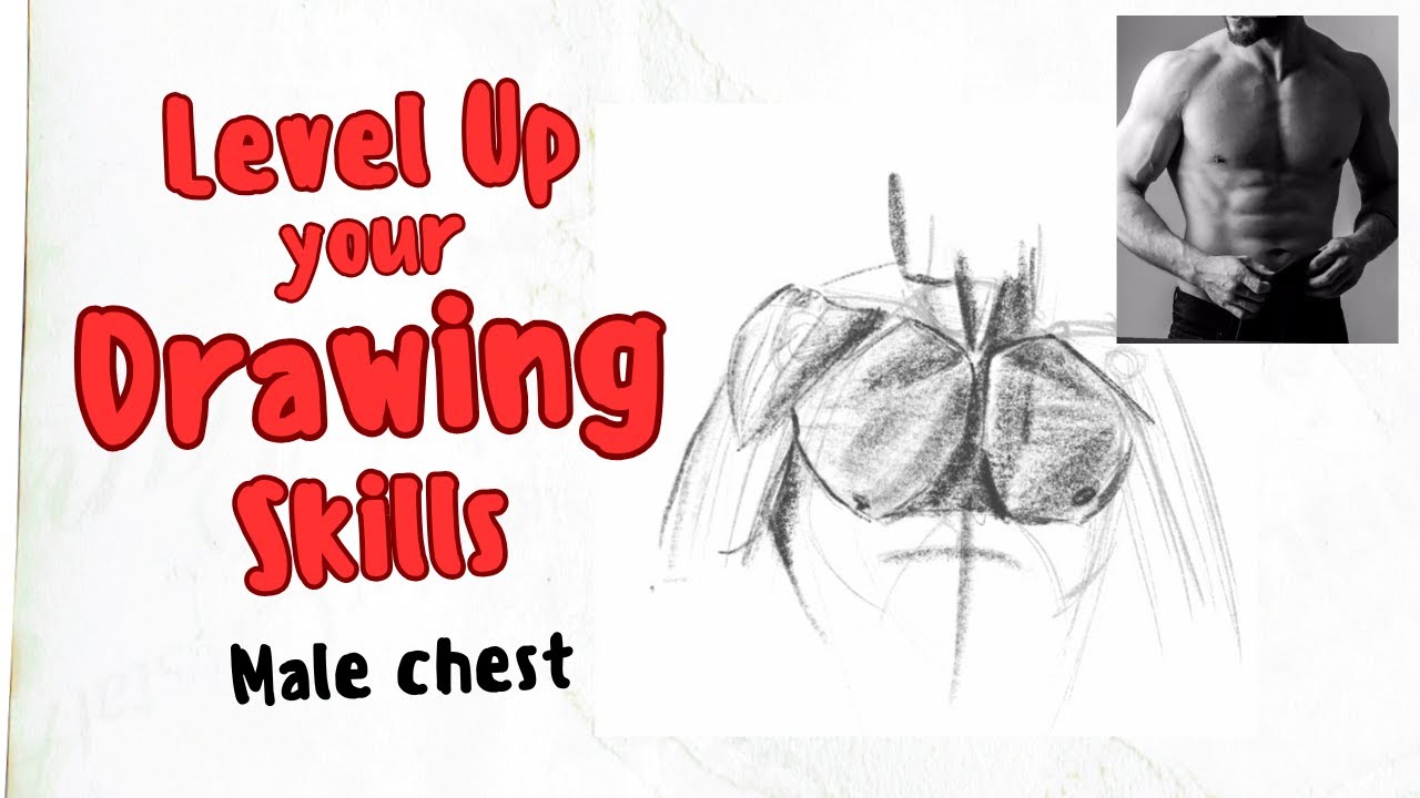 "Ultimate Guide to Drawing Male Chest Muscles | For Beginners & Experts ...