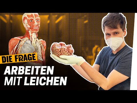 Nach dem Tod: Ich lasse meinen Körper ausstellen | Was passiert nach dem Tod mit uns? #5