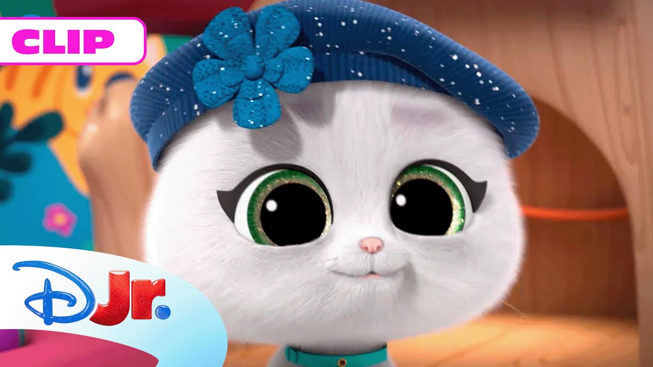 SUPERKITTIES: Gatitos con sombreros 🎩 | @DisneyJuniorES - YouTube