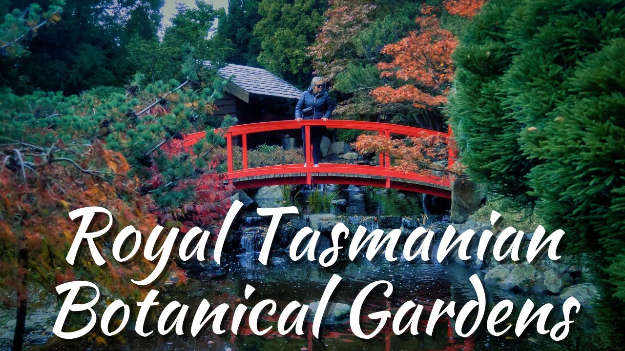 TASMANIA - Royal Tasmanian Botanical Gardens - YouTube