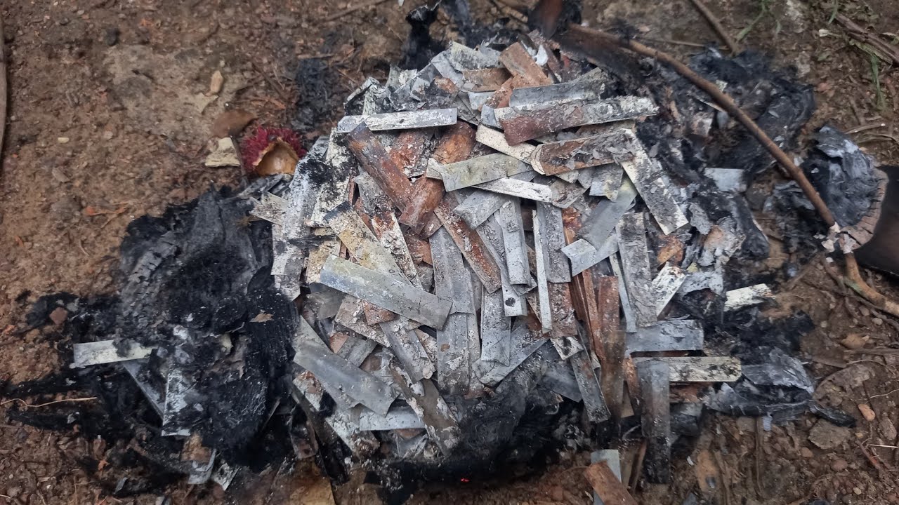 Pokok getah nak tebang maka terjadilah pembakaran sudu getah untuk ...