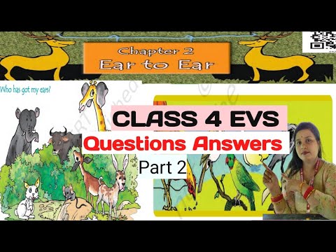 Ear to Ear, Class 4/EXPLANATION WITH QUESTIONS AND ANSWER (NCERT) EVS ...