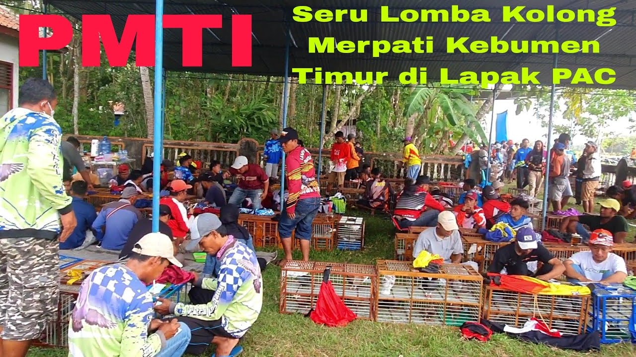 Lomba Merpati Kolong Kebumen Timur - YouTube