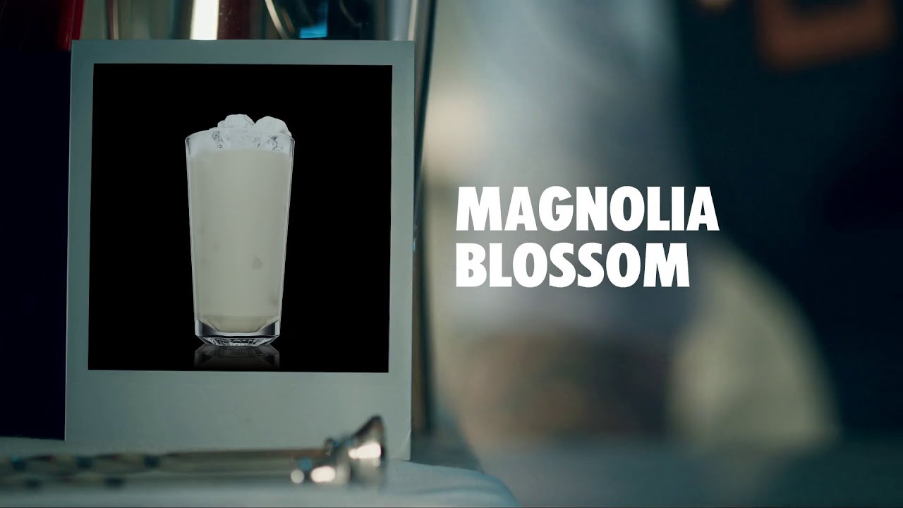 MAGNOLIA BLOSSOM DRINK RECIPE - HOW TO MIX - YouTube