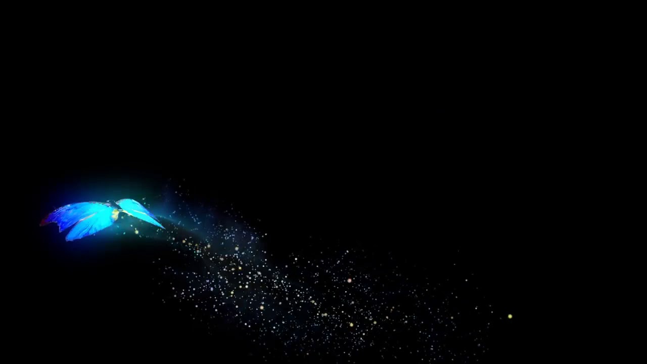 Butterfly intro template - YouTube