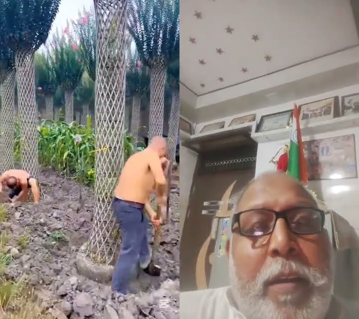 Beautifull Martile Bonsai#short#viral#youtubeshort#farmingmitra - YouTube