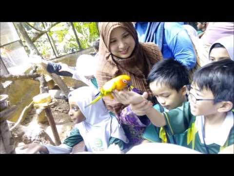 IISM Primary School Field Trip 1 2016,2017 - YouTube