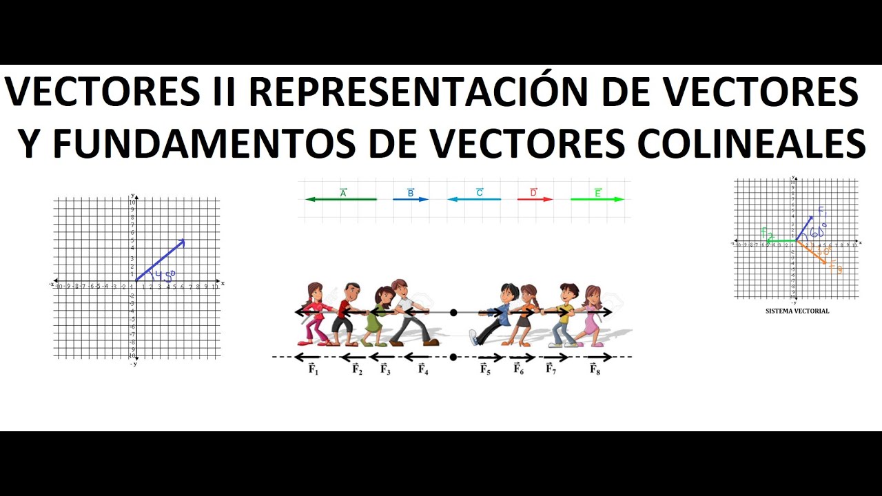 VECTORES II: Representación de Vectores y Fundamentos de Vectores ...