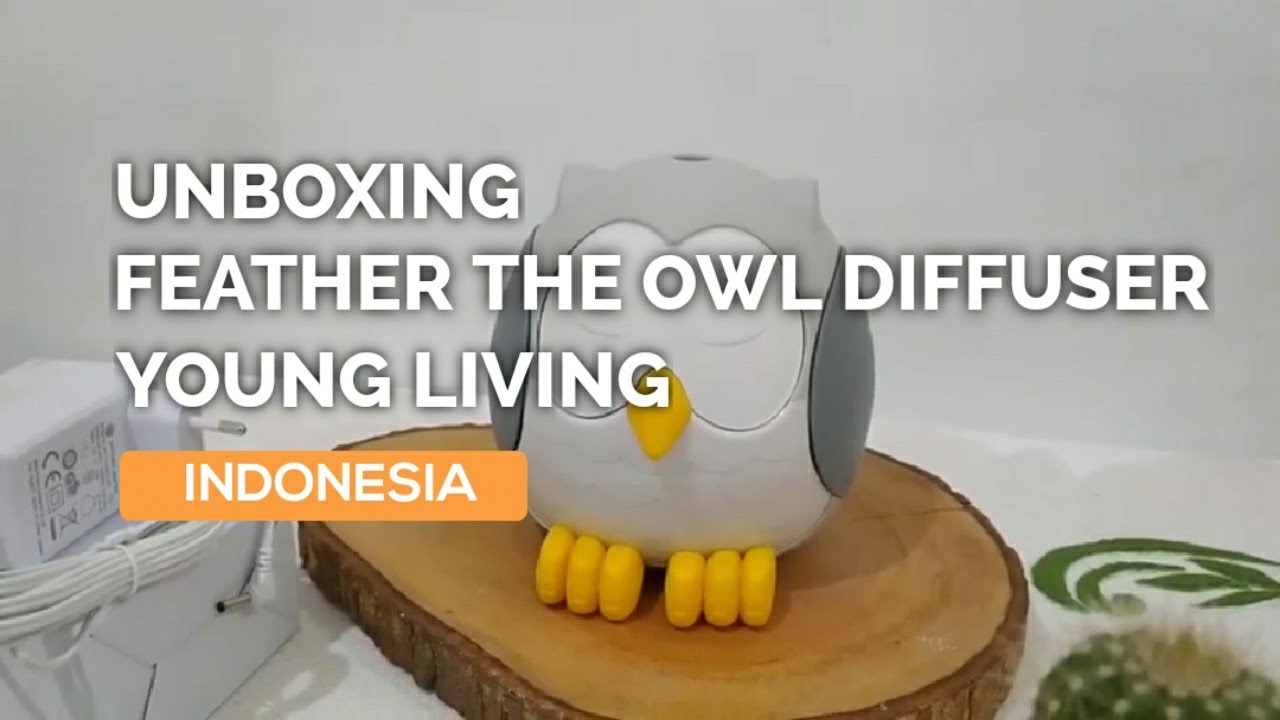 Unboxing Feather the Owl Diffuser Indonesia | Young Living Essential ...