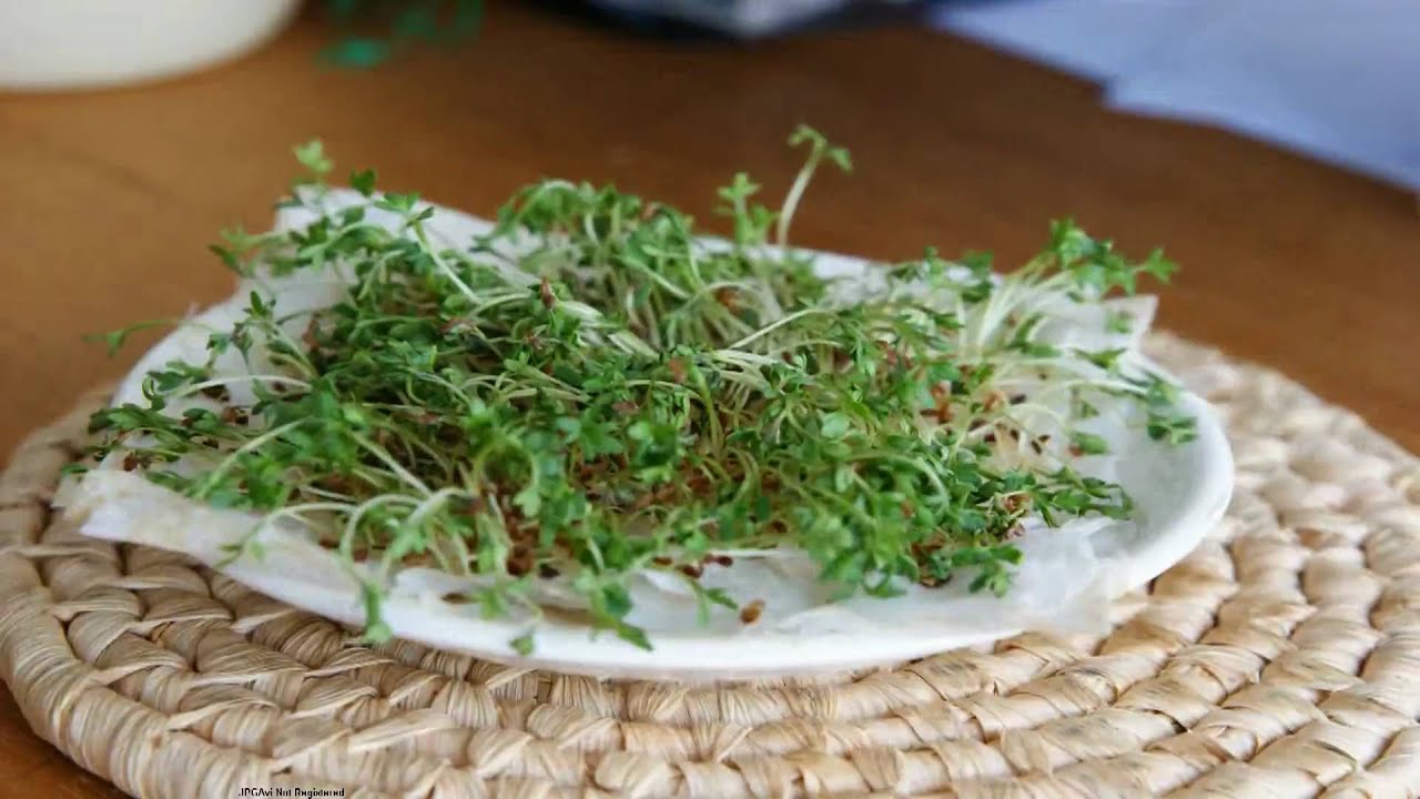 Tuinkers had water nodig - YouTube