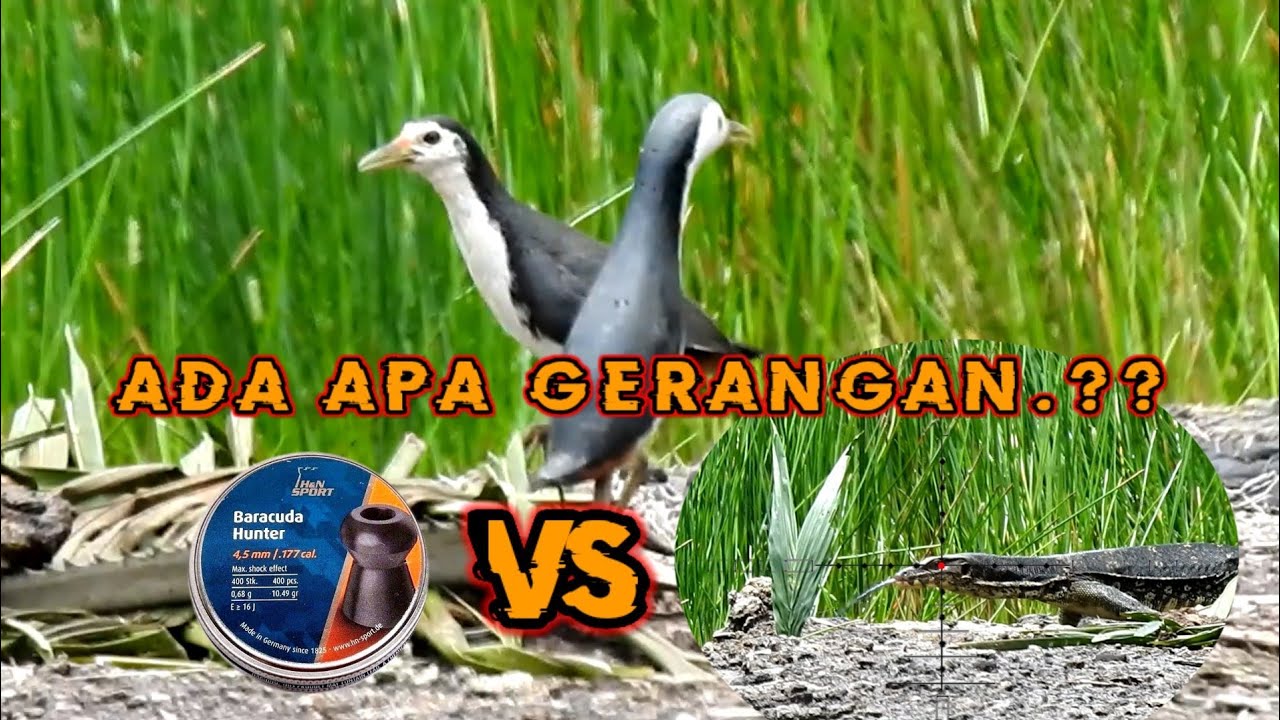 b-4-g-4-r-1-t-bubur4k-di-g-4-n-g-g-u-b-i-4-w-4-k-tarus-youtube