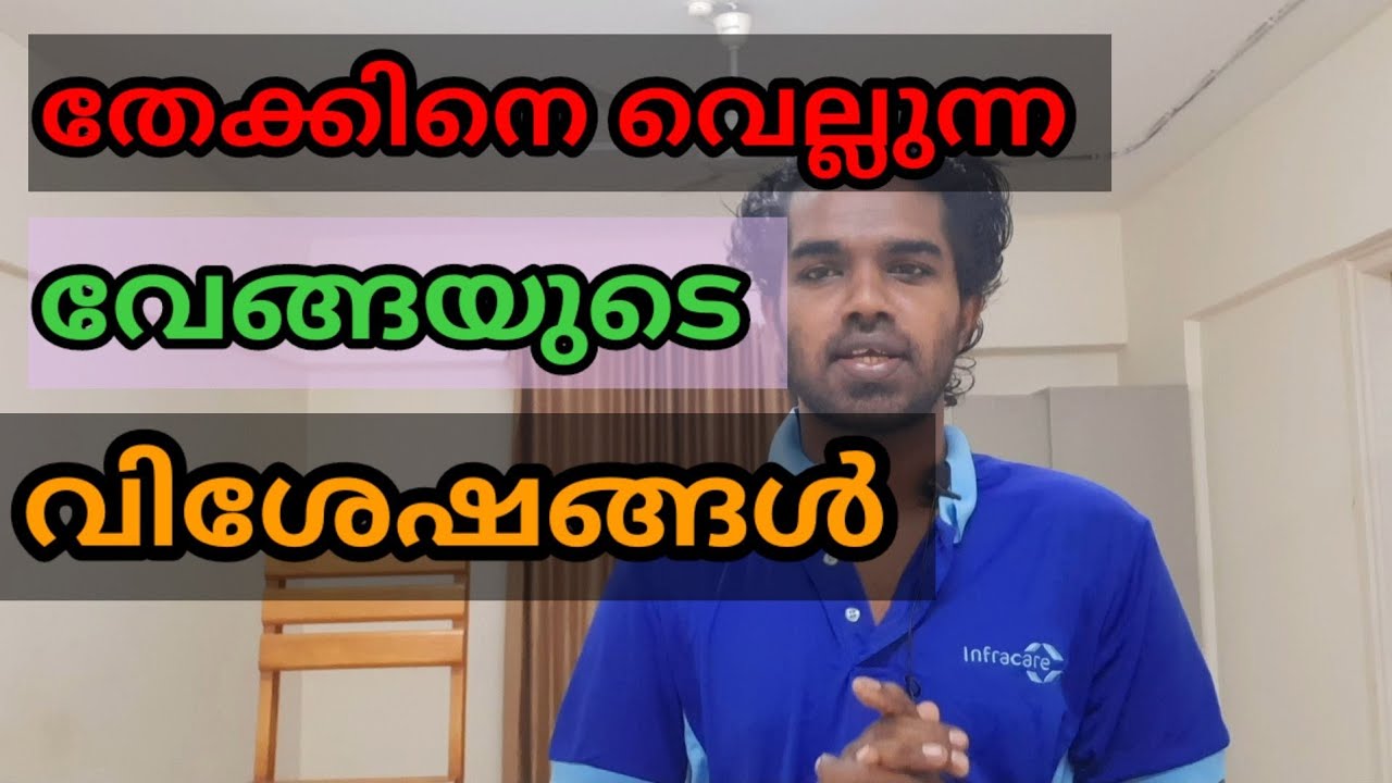 തേക്കിനെ വെല്ലുന്ന വേങ്ങ/വേങ്ങമരത്തിനെ കുറിച്ച് അറിയേണ്ടതെല്ലാം/venga ...