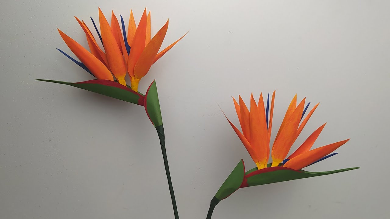 How to make Paper Bird of Paradise Flowers/ Paper Flowers/ Cách làm hoa ...